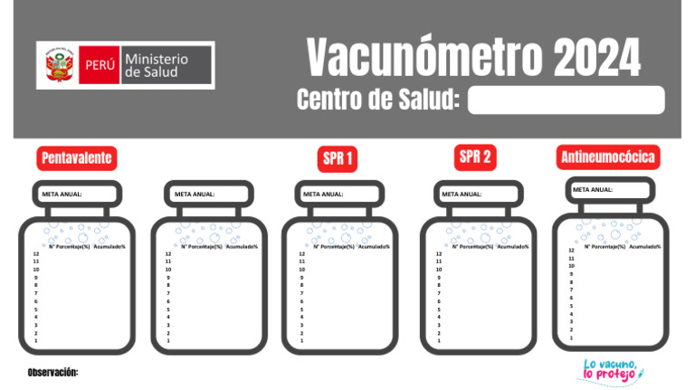 Modelos de Vacunómetros 2024-2025 | PDF