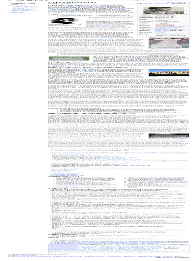 Ludwig Wittgenstein Pdf Ludwig Wittgenstein Lógica