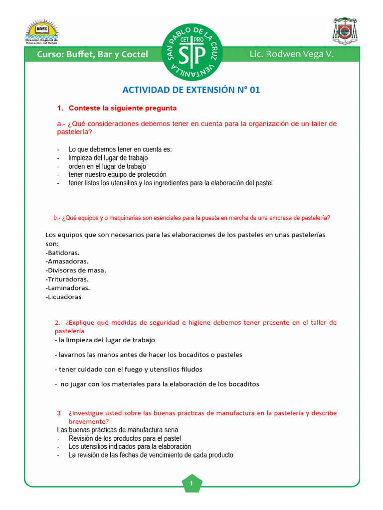 Actividad #01 Camila Figueroa | PDF