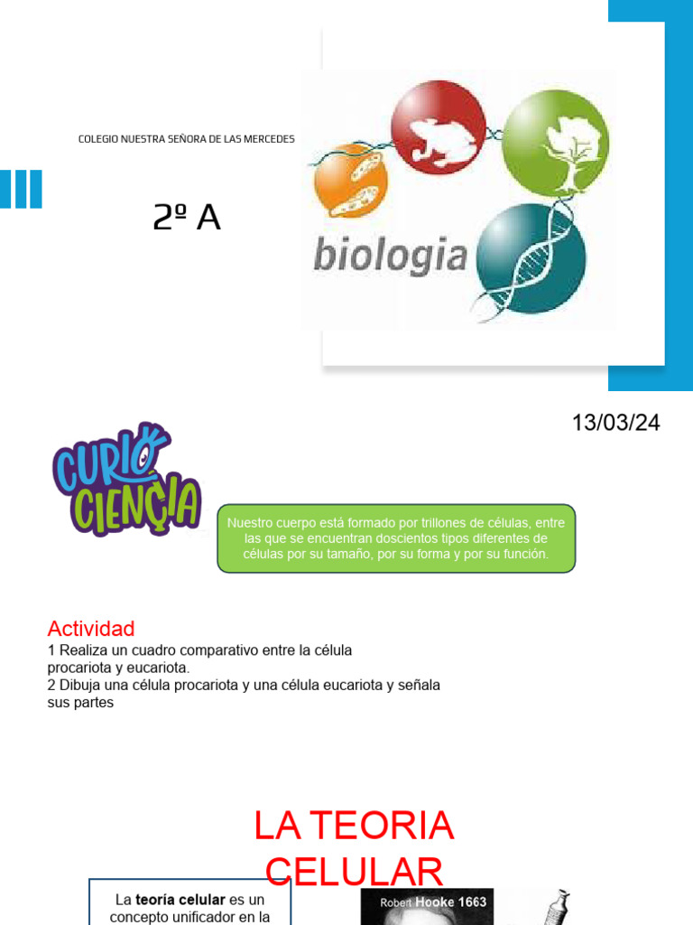 C Lula | PDF | Biología Celular) | Nucleo celular