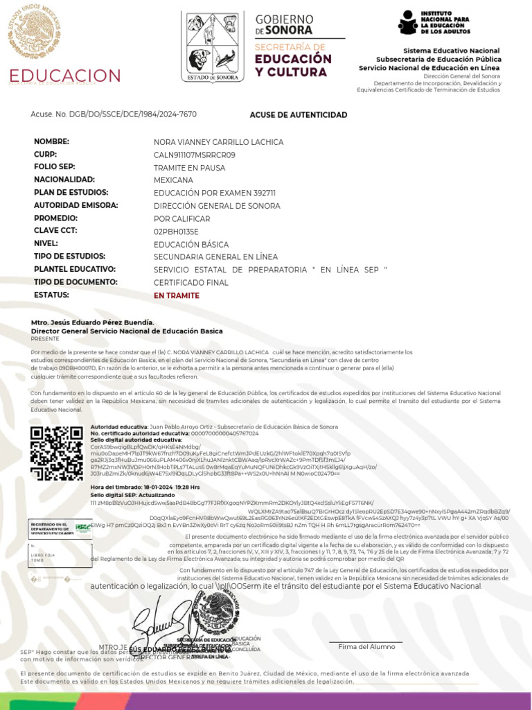 Carta de Validez en Trámite | PDF