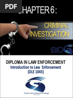 Human Rights Based Policing | PDF | Police | Human Rights