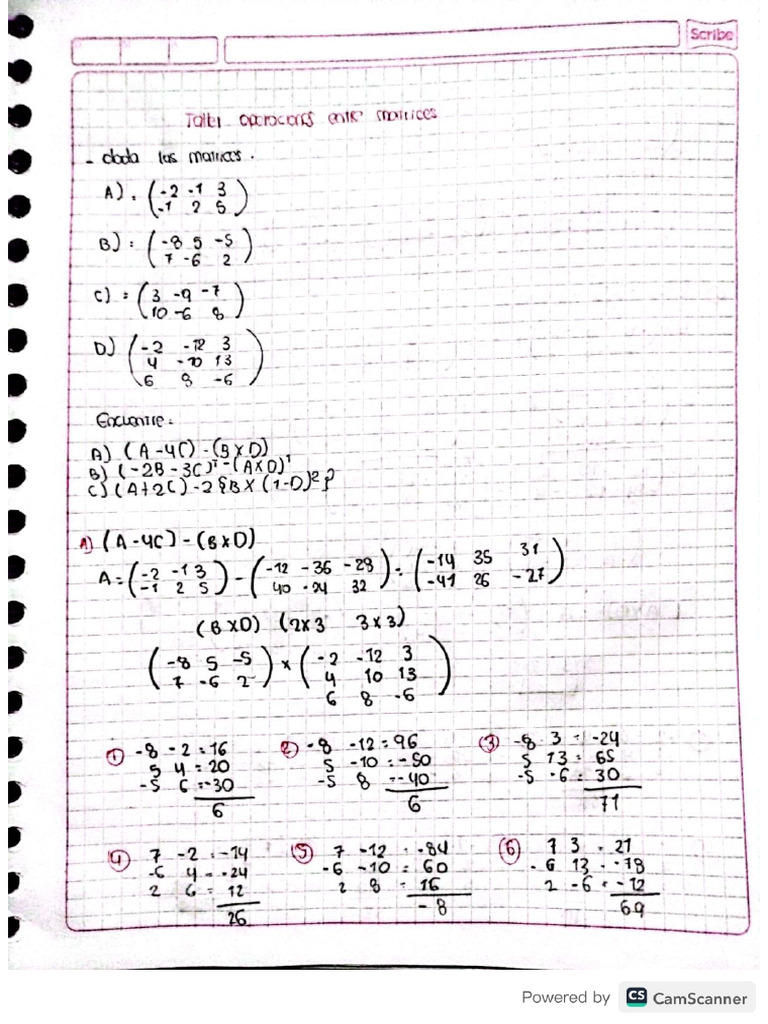 Taller Matrices | PDF