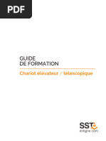 Formation Sur Les Pictogrammes de Securite | PDF | Rouge | Vert