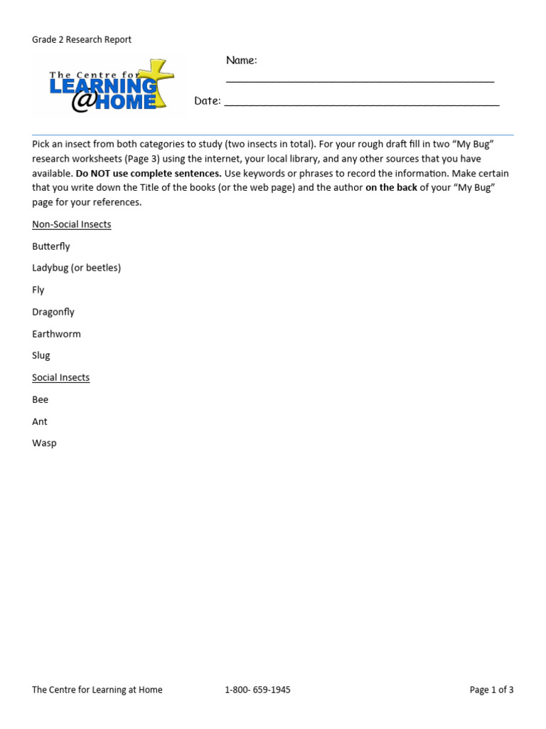 Insect Research Report Assessment | PDF | Insects | Hexapoda