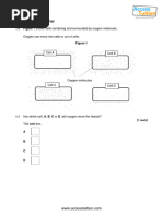 Netball Performance Analysis: Strengths & Weaknesses | PDF | Dieting ...