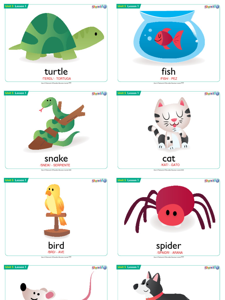 Vocabulary Unit 5 - PETS | PDF