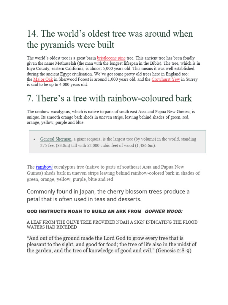 TREES | PDF | Trees | Atmosphere Of Earth