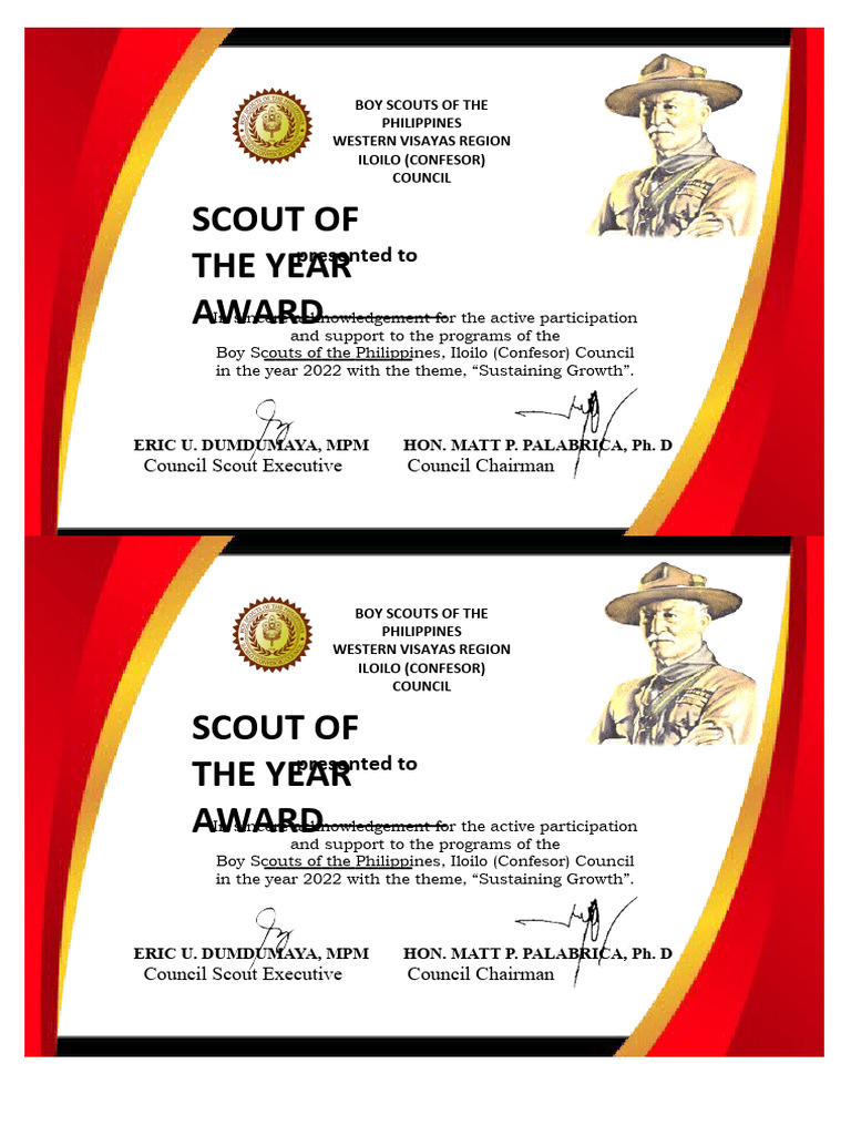 2022 Iloilo Scout of the Year Award | PDF | Social Science