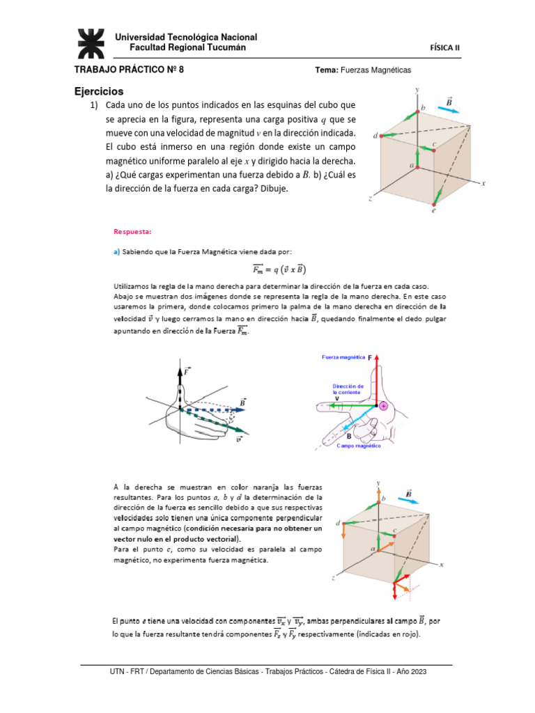 TP #8 - Fuerza Mgnética - 2023 - Desarrollado | PDF | Campo magnético | Inductor
