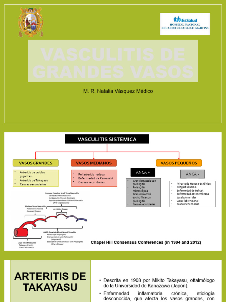 Vasculitis de Grandes y Medianos Vasos | PDF | Aorta | Inmunología
