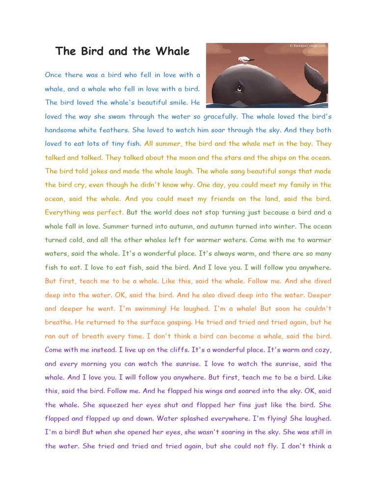 The Bird and the Whale | PDF