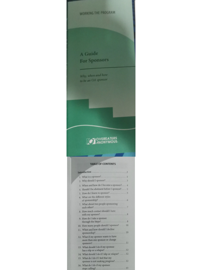 A Guide For Sponsors | PDF