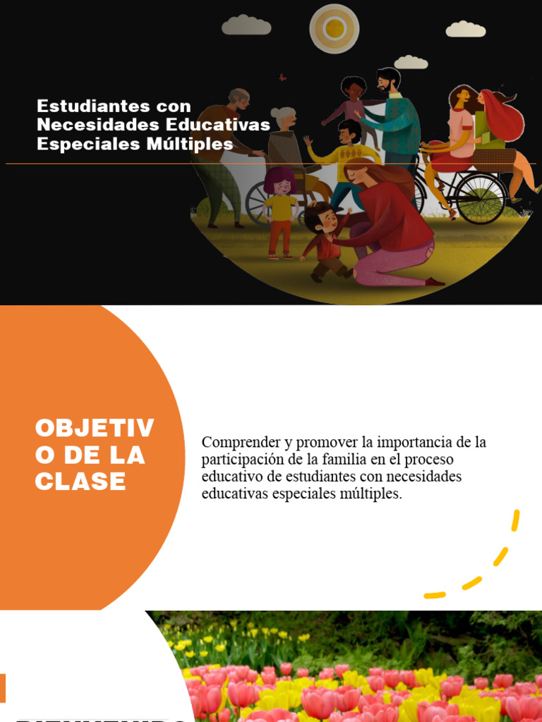 CL13 Familia y NEEM | PDF | Invalidez | Familia