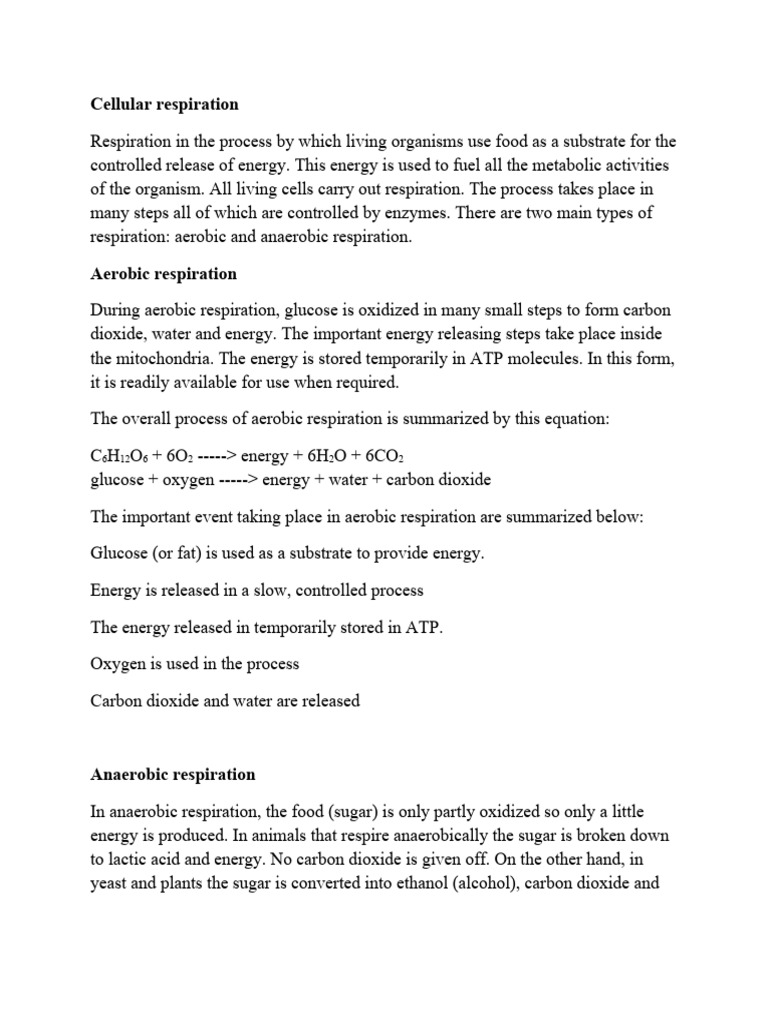 Respiration Notes | PDF | Cellular Respiration | Lung