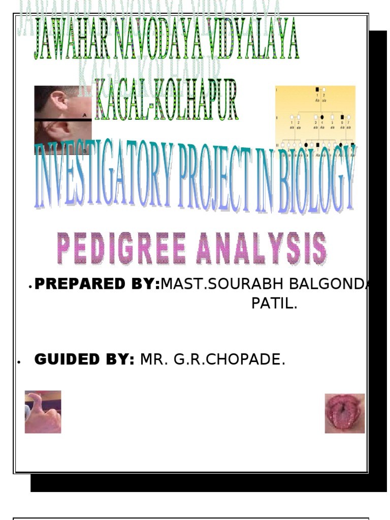 Bio Project | PDF | Heredity | Genetics