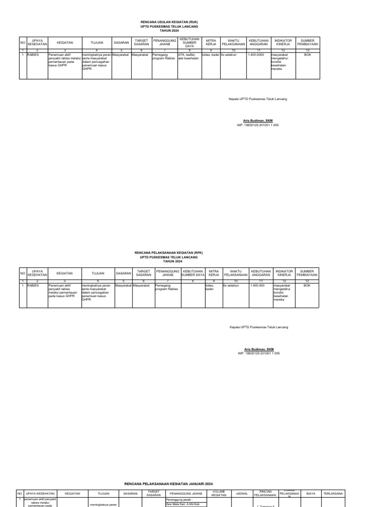 Rencana Kegiatan Rabies 2024 | PDF
