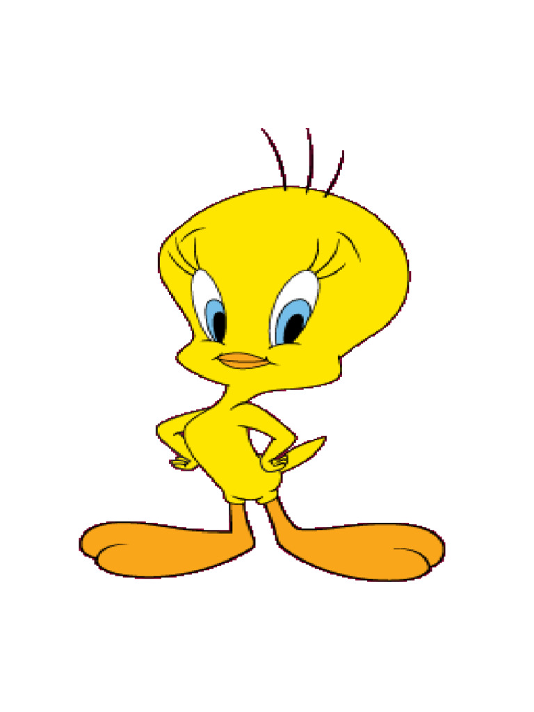 PIOLIN | PDF