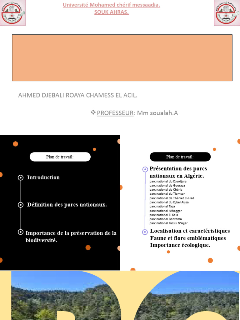 Les Parcs Nationaux en Algérie | PDF | Biodiversité | Forêt