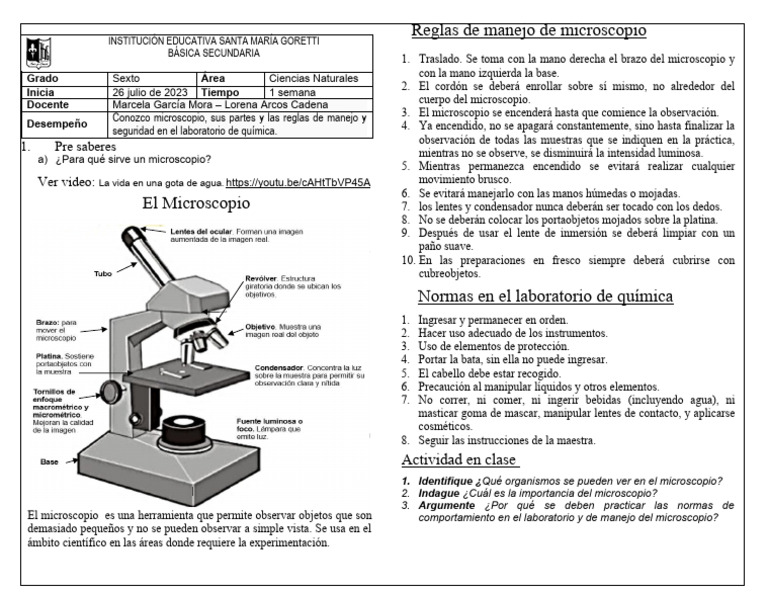 Uso y normas del microscopio en laboratorio | PDF | Laboratorios ...