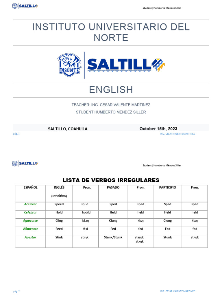 Verbos Irregulares Pdf