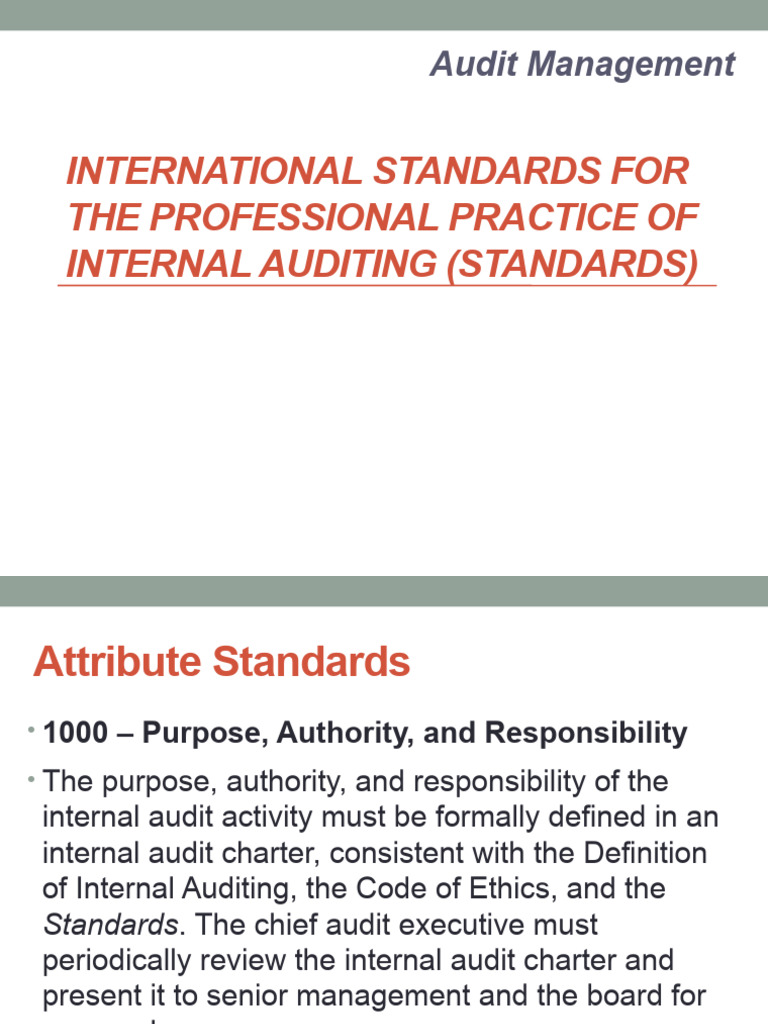 International Standards For The Professional Practice of Internal | PDF ...