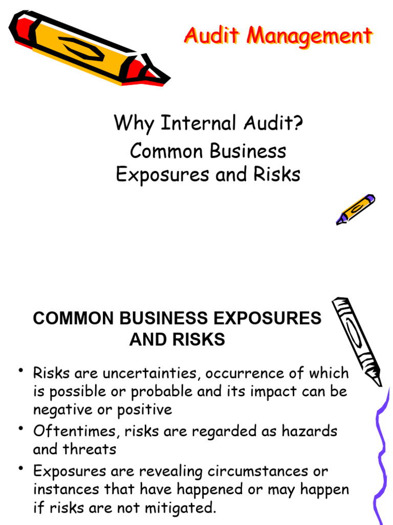 Why Internal Audit - Common Business Exposures | PDF | Risk | Accounting