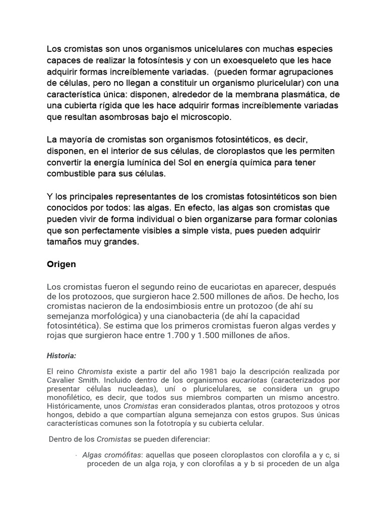 Características del Reino Chromista | PDF | Algas | Plantas