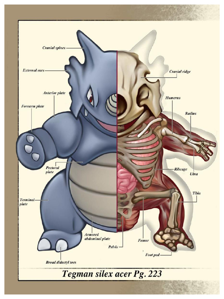Pokenatomy by Christopher Stoll 2 PDF Free 234 | PDF