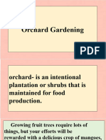 Types and Benefits of Seed Beds | PDF | Crops | Seed