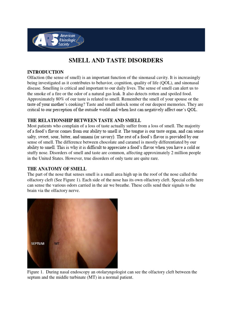 Head Neck Surgery Patient Info Smell Taste Disorders | PDF | Taste ...