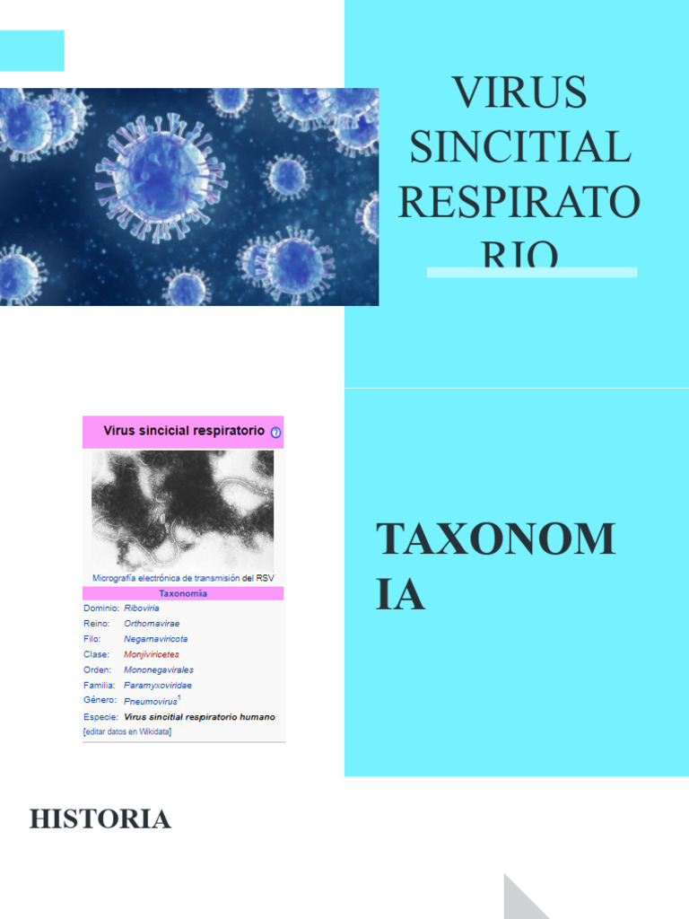 Virus Sincitial Respiratorio | PDF | Epidemiología | Ciencias de la Salud