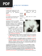 Fracturas de Cotilo | PDF | Pelvis | Sistema esquelético
