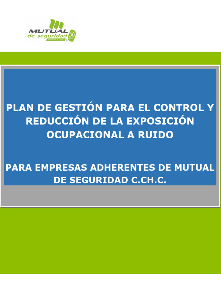 Formato - Plan de Gestion de Riesgo para El Control y Reduccion de La Exposicion A Ruido | PDF ...