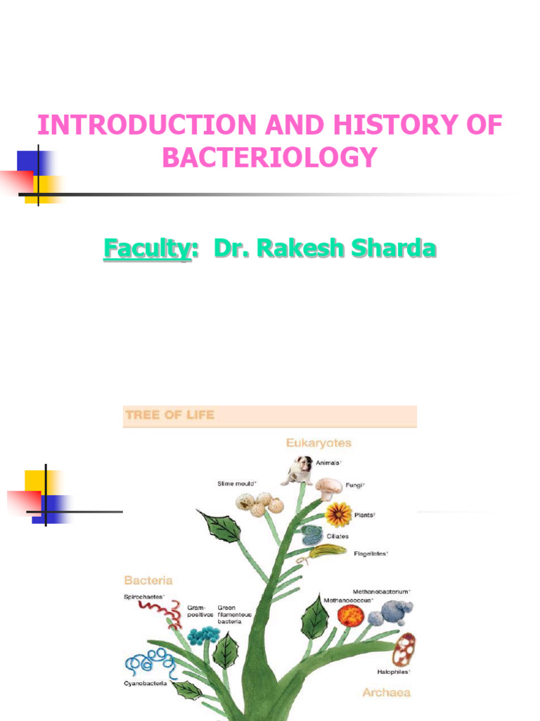 Introduction And History Of Bacteriology Pdf Microbiology