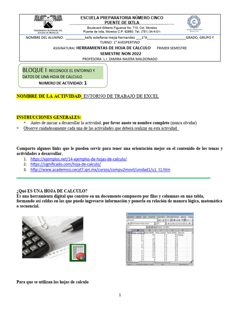 Actividad 1 - Entorno de Trabajo de Excel | PDF | Hoja de cálculo | Microsoft Excel