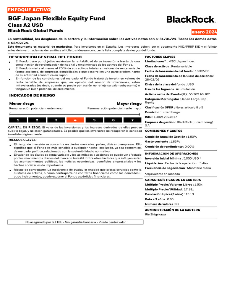 BGF Japan Flexible Equity Fund | PDF | Roca Negra | Inversiones
