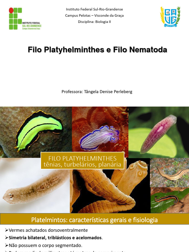 Aula - Platelmintos e Nematelmintos | Download grátis PDF | Causas de ...