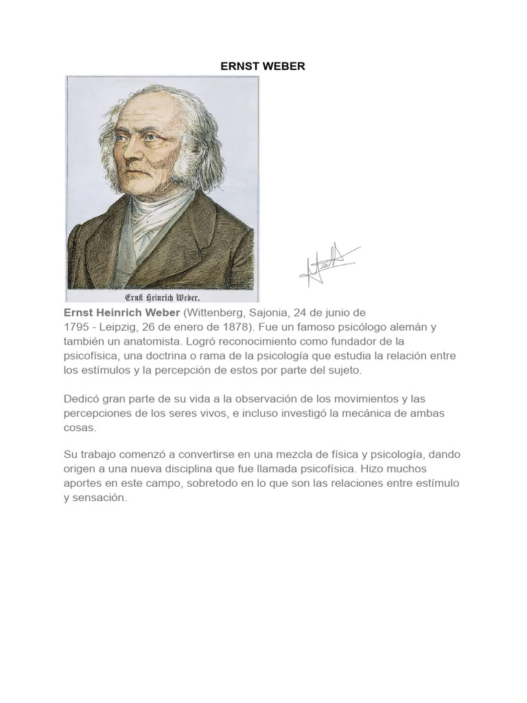 Ernst Weber | PDF