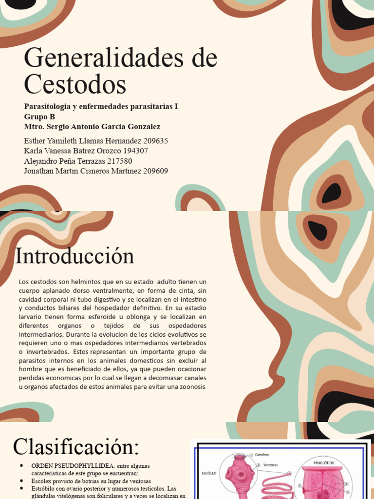 Generalidades de Cestodos | PDF | Sistema reproductivo | Zoología