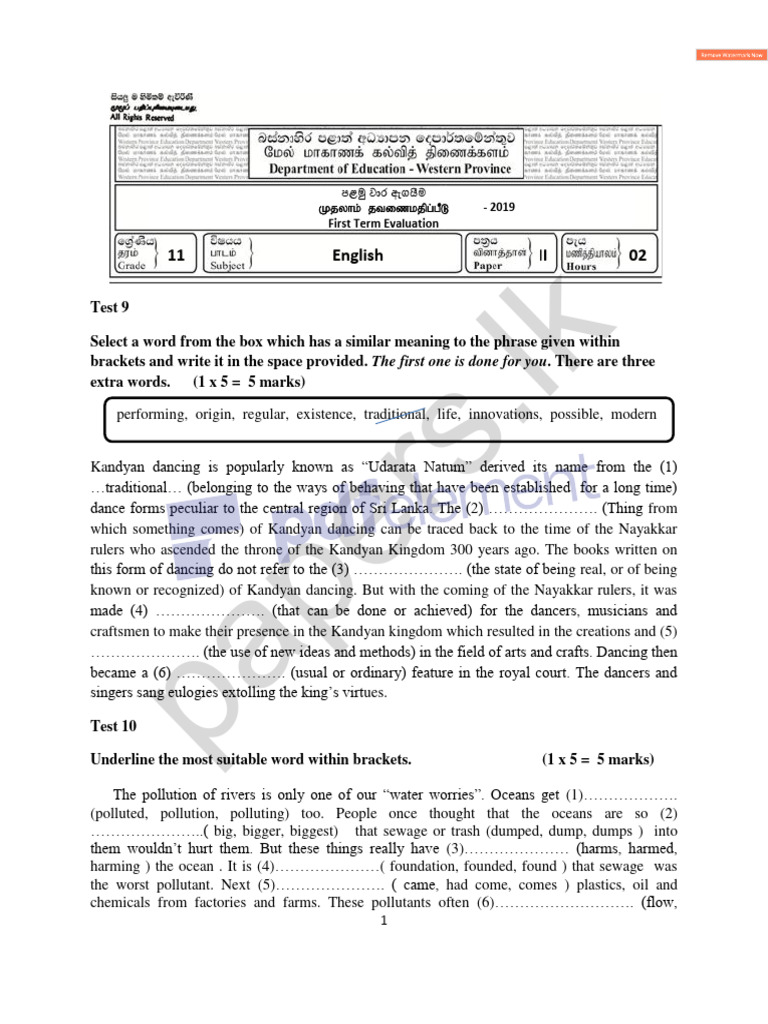 Grade 11 English Exam Papers & Memos | PDF | Pollution | English Language