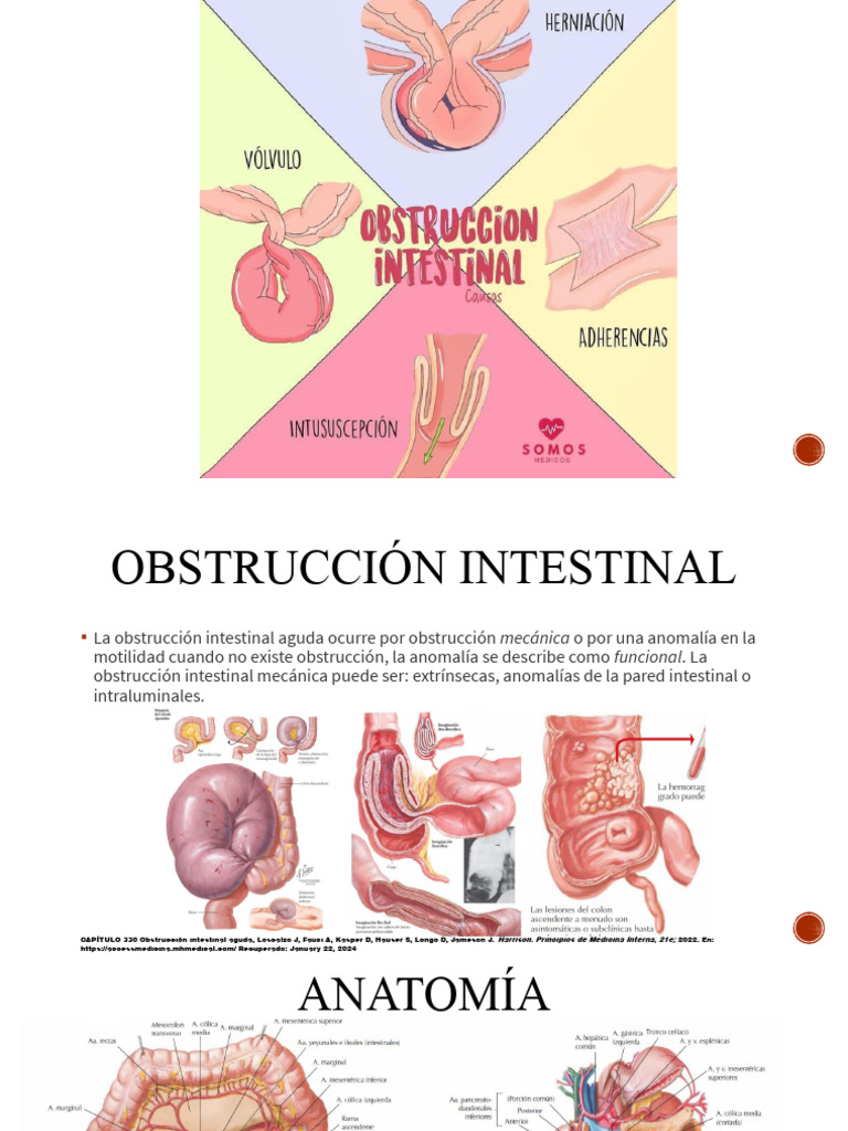 Causas y tipos de obstrucción intestinal | PDF | Enfermedades ...