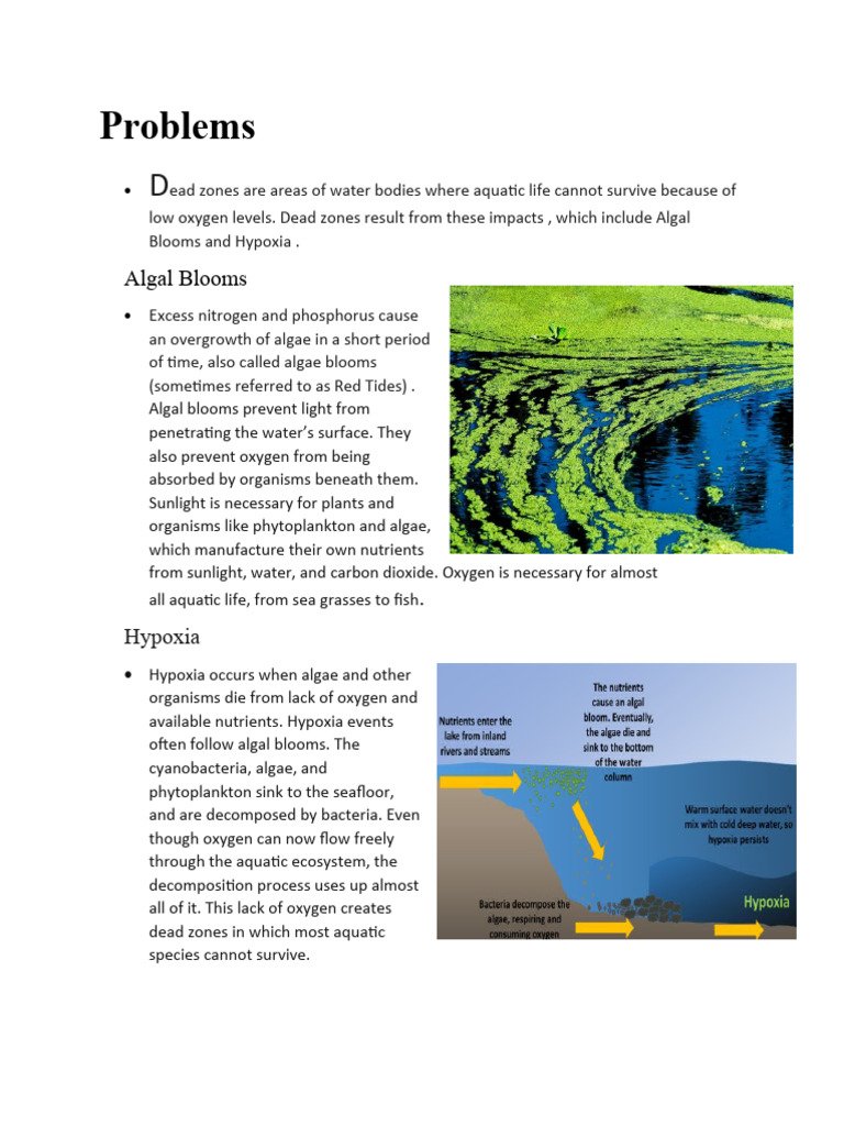 Understanding Dead Zones in Aquatic Ecosystems | PDF