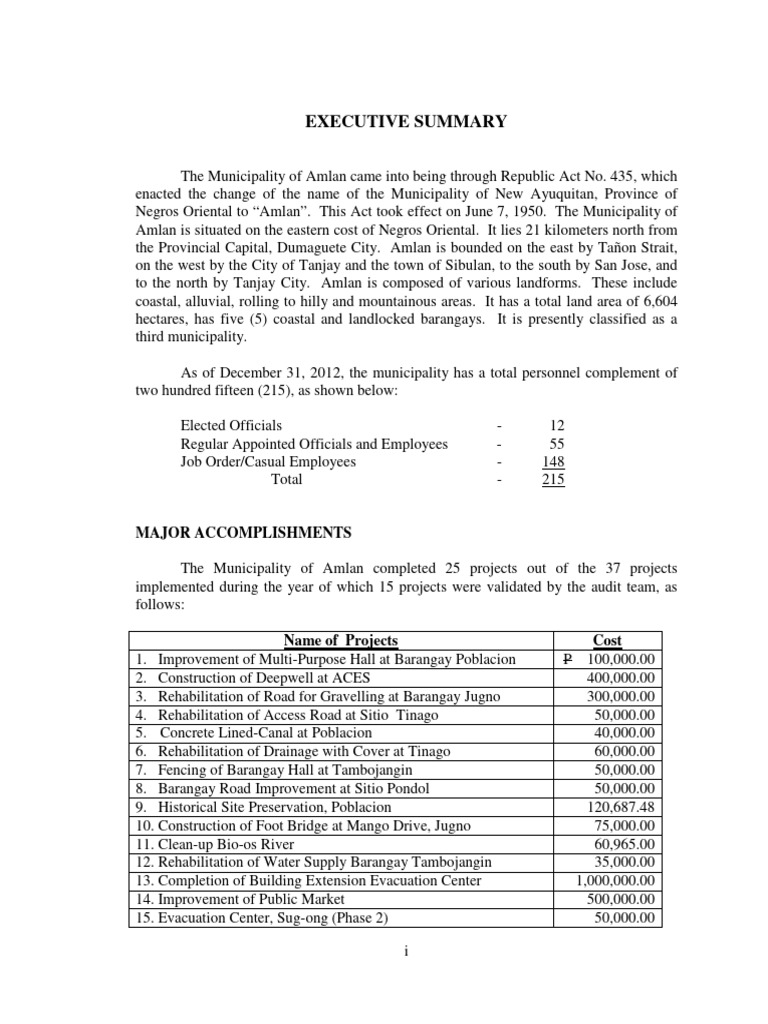 Amlan Executive Summary 2012 | PDF | Audit | Business