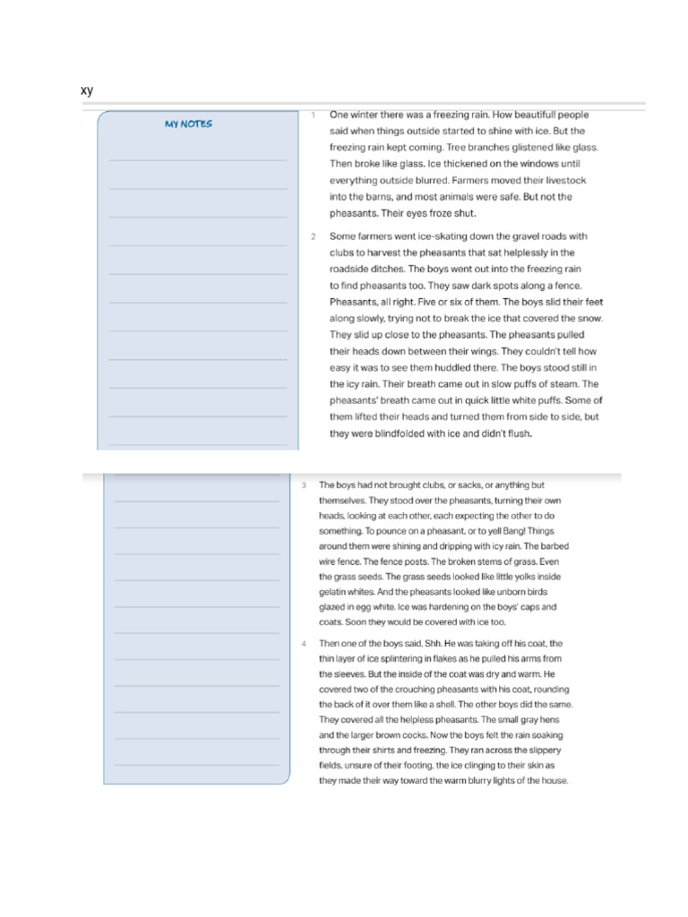 Cael Patrick - What Happened During The Ice Storm PDF & Found Poetry ...