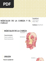 Músculos de Cabeza y Cuello | PDF | Anatomía humana | Sistema esquelético