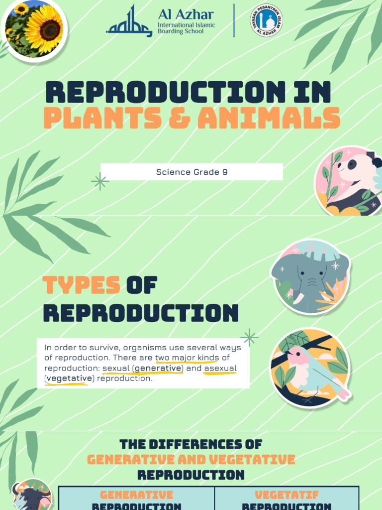 ??reproduction in Plants and Animals | PDF | Reproduction | Flowers