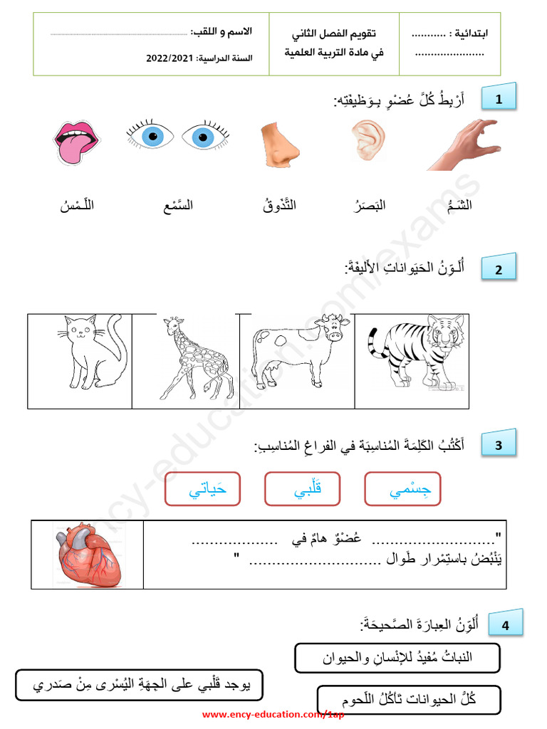 Techno 1ap22 2trim1 | PDF