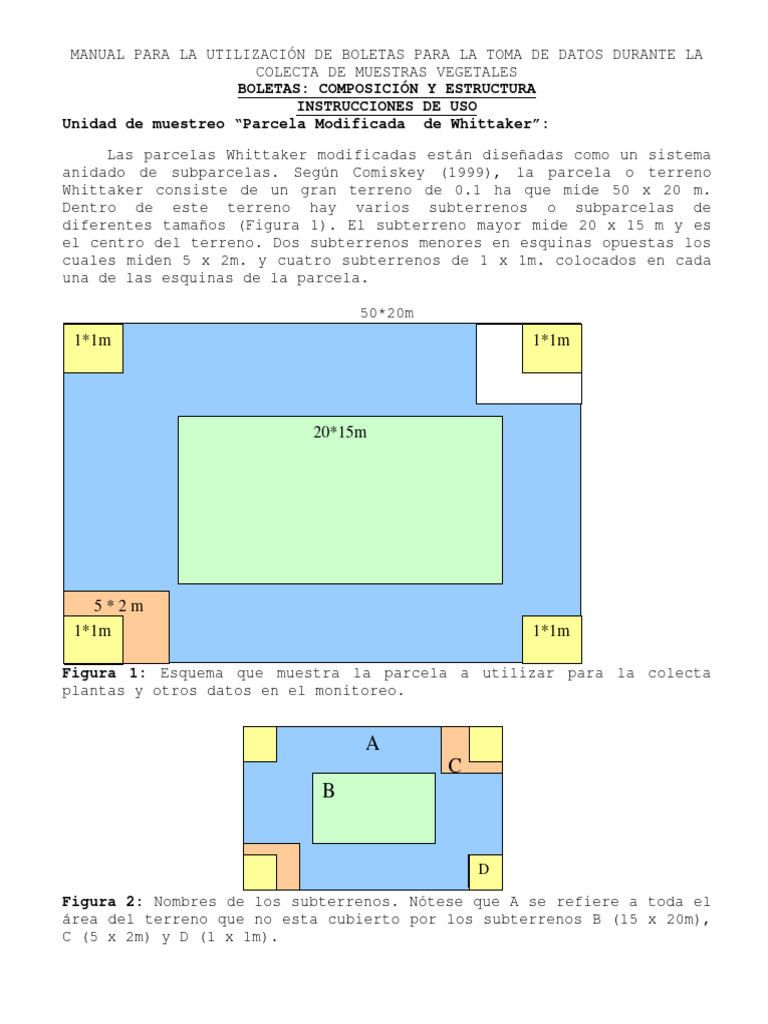 Parcelas Whittaker - Lachua 2019 - Boletas Estructura | PDF | Arboles | Arbusto