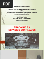 Norma Oficial Mexicana Nom - 033 | PDF
